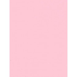 CARTULINA A4 ROSA