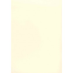 PAPEL COLOR A4 80 GRS. 100 H. CREMA