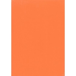 PAPEL COLOR A4 80 GRS. 100 H. NARANJA INTENSO